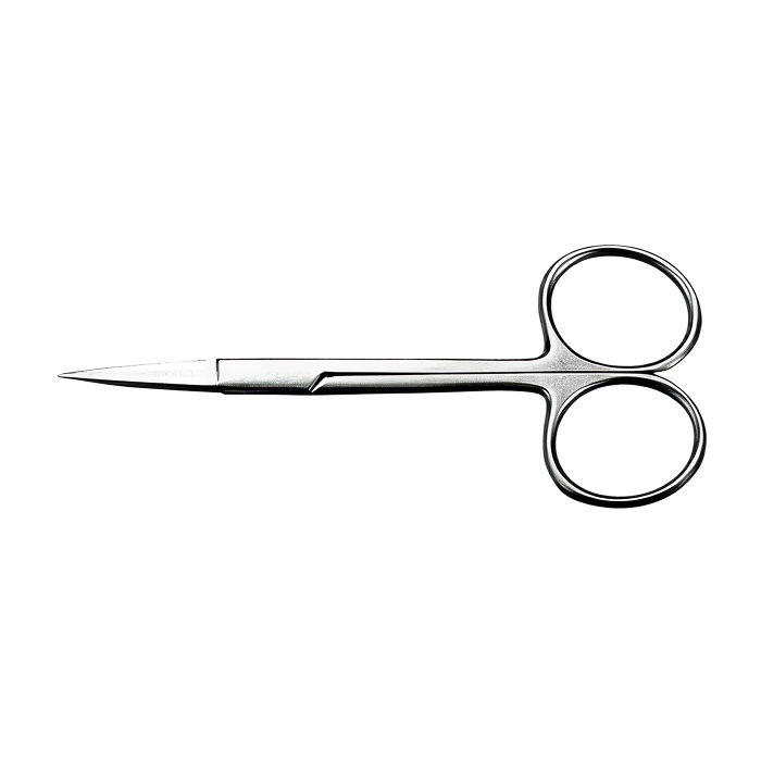 Dissecting Scissors Straight 10 cm Long | Animalab