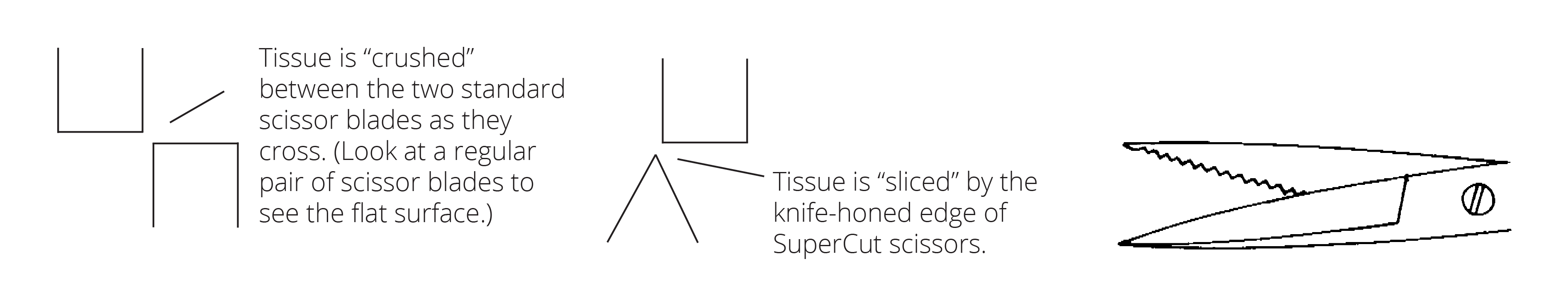 Surgical instruments - KNOW YOUR SCISSORS | Animalab