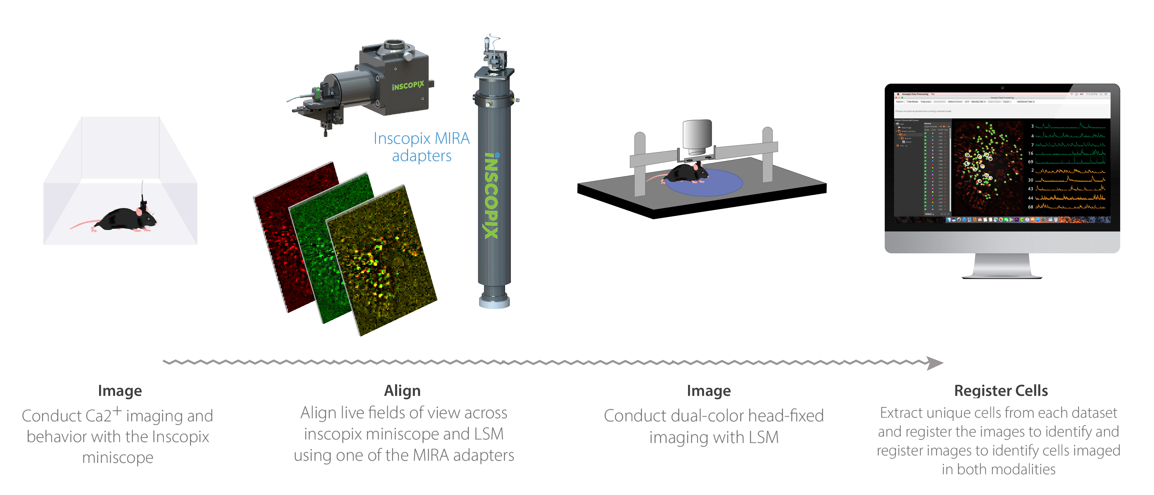 MIRA platform - integrated imaging for maximal insights | Animalab